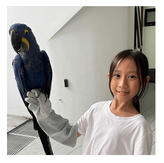 Lee Ming Xuan – Janus Education Estore